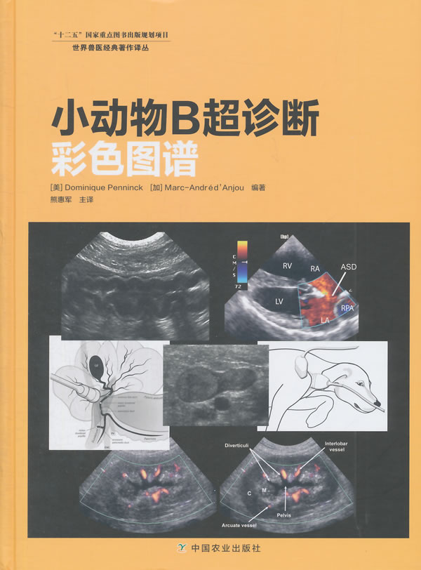 世界兽医经典著作译丛 小动物B超诊断彩色图谱【特惠】