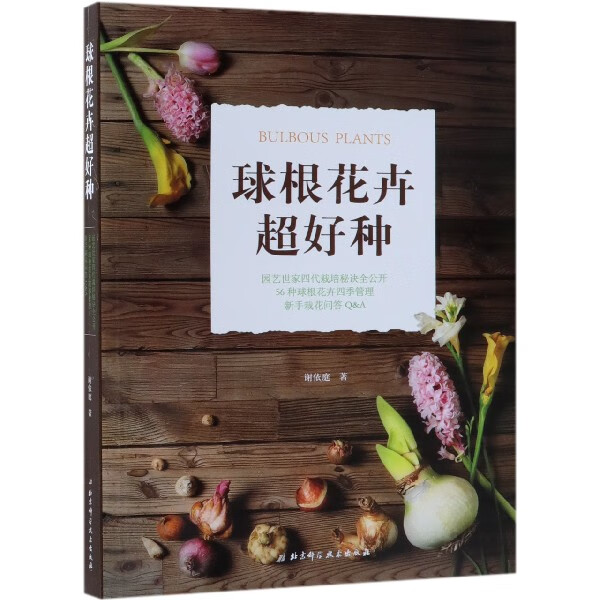现货 球根花卉超好种 谢依庭 北京科技