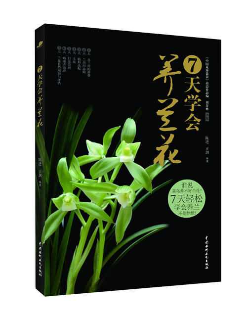 7天学会养兰花【现货】