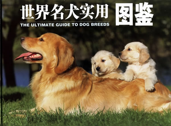 世界名犬实用图鉴 岑建强 等编译【书】