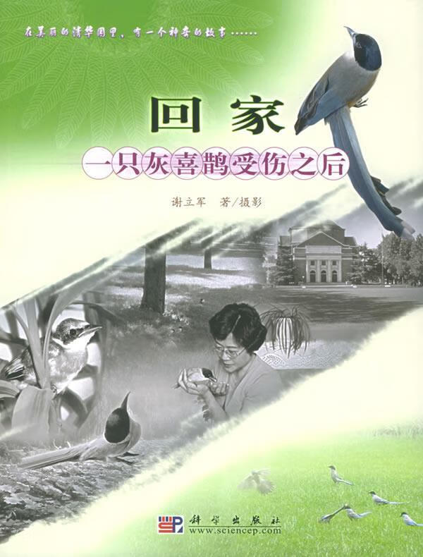 回家:一只灰喜鹊受伤之后 谢立军 著