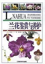 兰花鉴赏与养护9787534537950