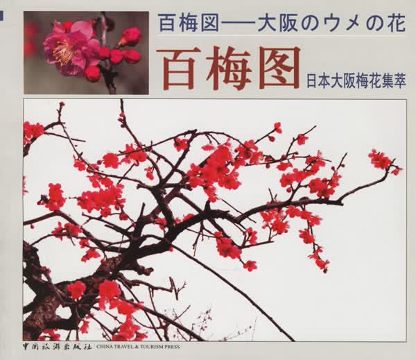 百梅图—日本大阪梅花集萃