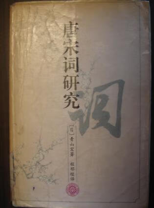唐宋词研究【好书】