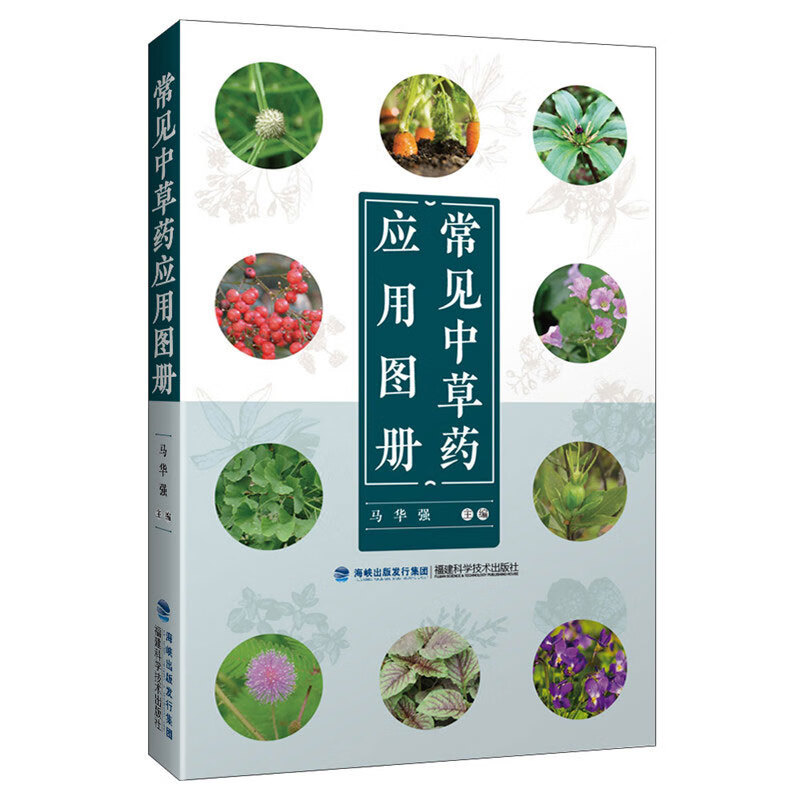 常见中草药应用图册