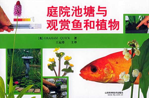 庭院池塘与观赏鱼和植物【，放心购买】