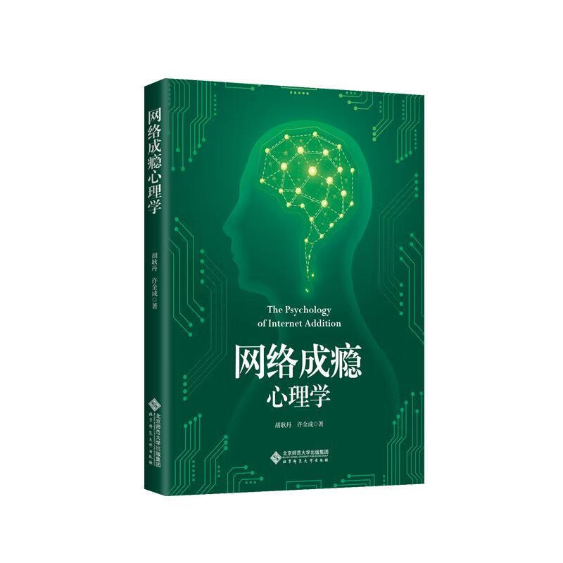 网络成瘾心理学 胡耿丹 北京师范大学出版社