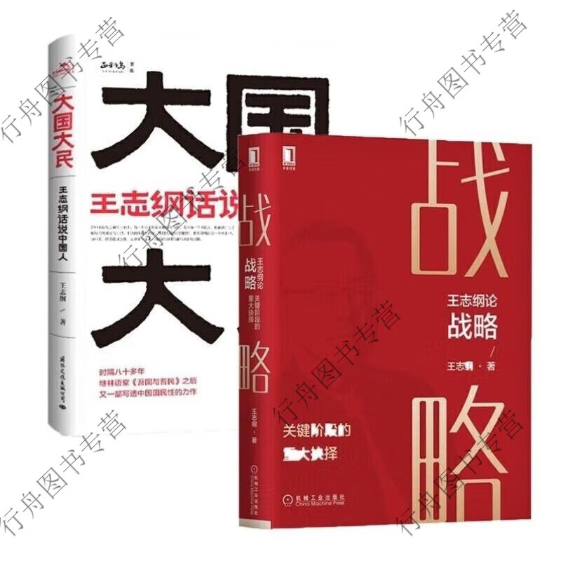 王志纲论战略+ 王志纲重大抉择 (王志纲话说中国人) 大国大民+战略 （套装 2 册）