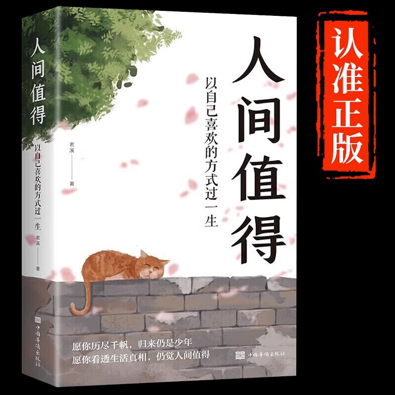 人间值得 以自己喜欢的方式过一生 成功励志情商与情绪青春文学正能量励志书籍 心灵与修养积极向上的生活态度