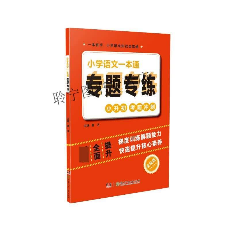 小学语文一本通专题专练(全新版)