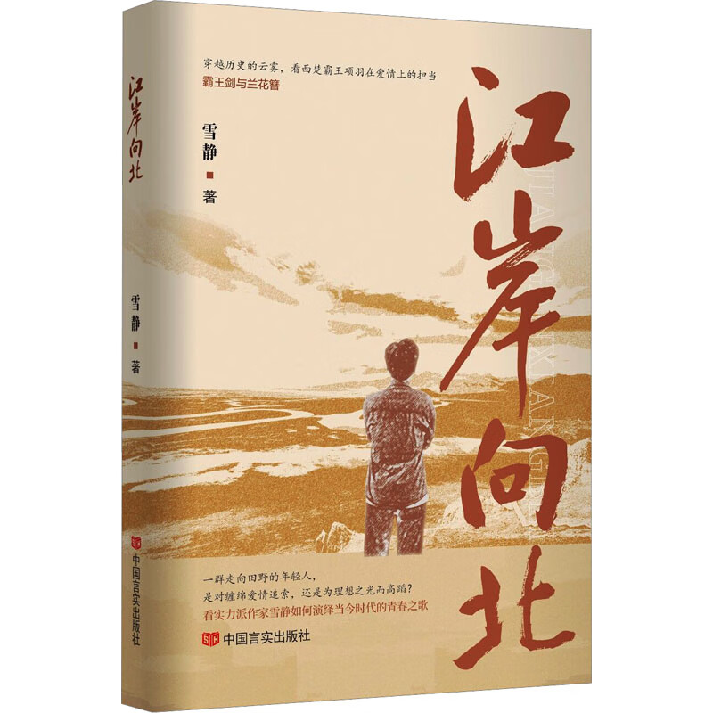 江岸向北 图书