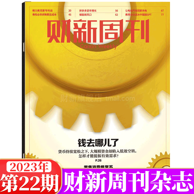 财新周刊杂志2023年 商业经济类期刊周刊 2023年第22期 钱去哪儿了