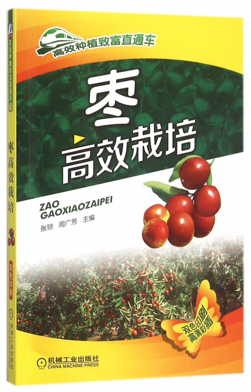 枣高效栽培/高效种植致富直通车