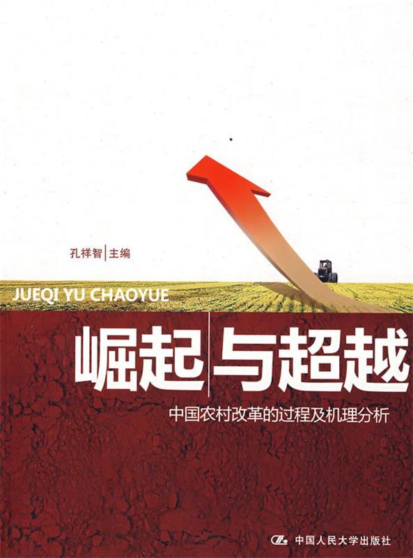 崛起与—中国农村改革的过程及机理分析