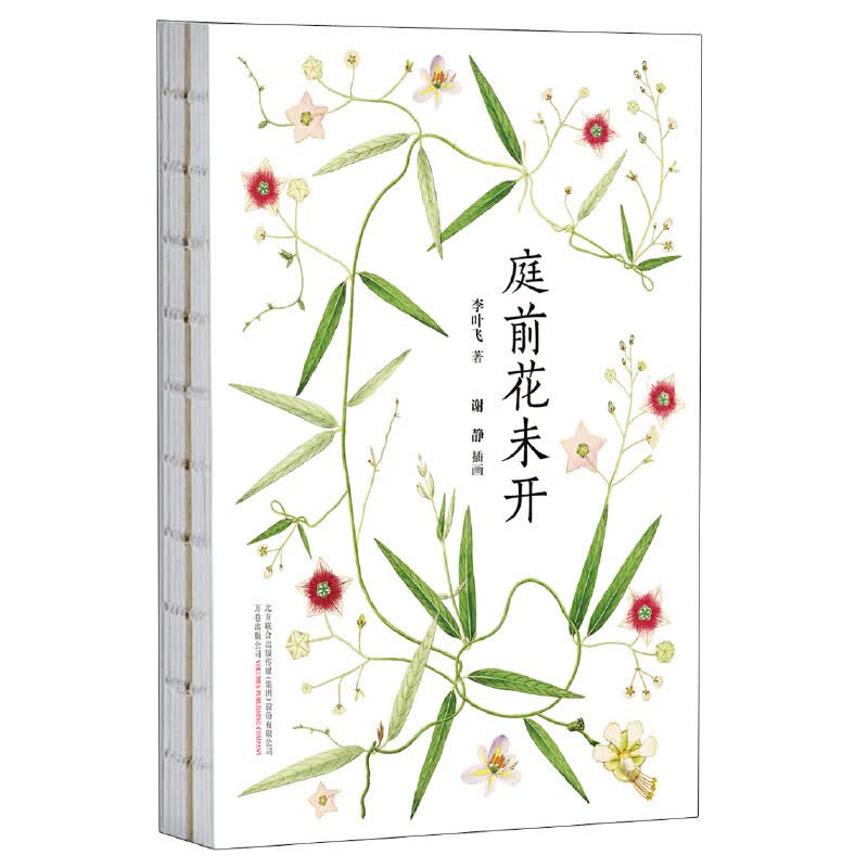 庭前花未开