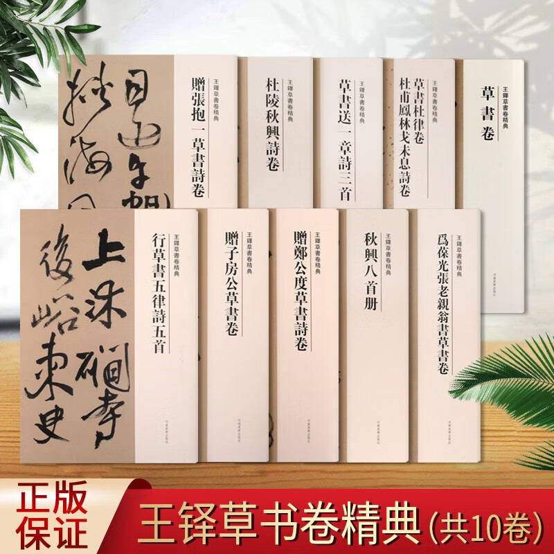 王铎草书经典全集 共10册 高清原作8开释文 草书卷 杜陵秋兴诗卷 秋兴八首册等 书法作品 名家毛笔字帖碑帖临摹练习墨迹拓本精典 河南美术出版社