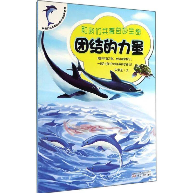 团结的力量