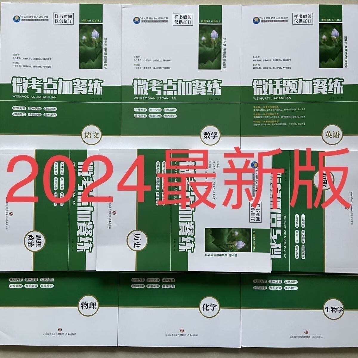 2024微考点加餐练生 历史