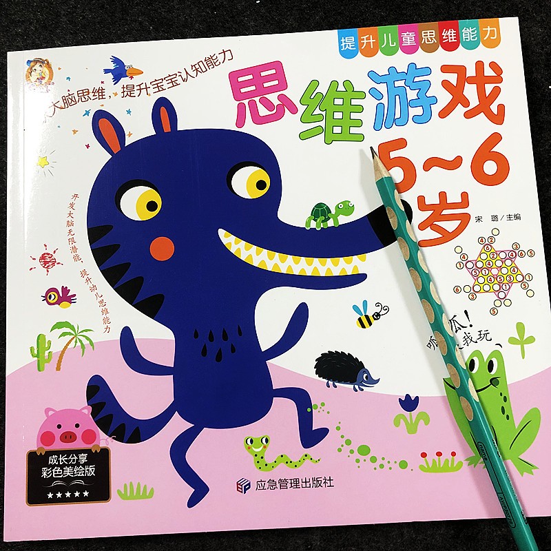 思维游戏5-6岁 提升儿童思维能力儿童早教启蒙全脑智力开发专注力益智绘本书