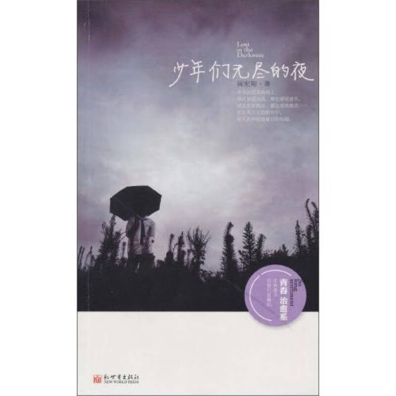 少年们无尽的夜【好书】