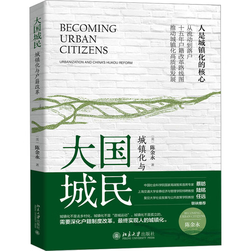 大国城民 城镇化与户籍改革 图书