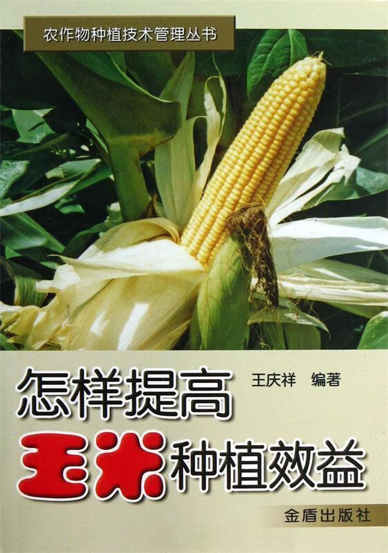 怎样提高玉米种植效益