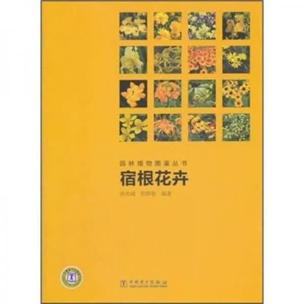 【以此标题为准】宿根花卉