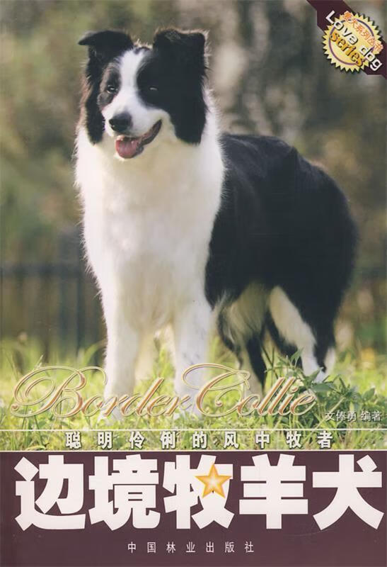 包邮》 边境牧羊犬 文俸勇编著 9787503841644