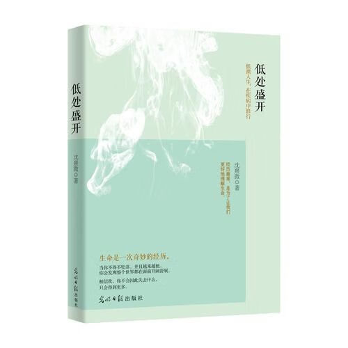 低处盛开：低潮人生，在疾病中修行