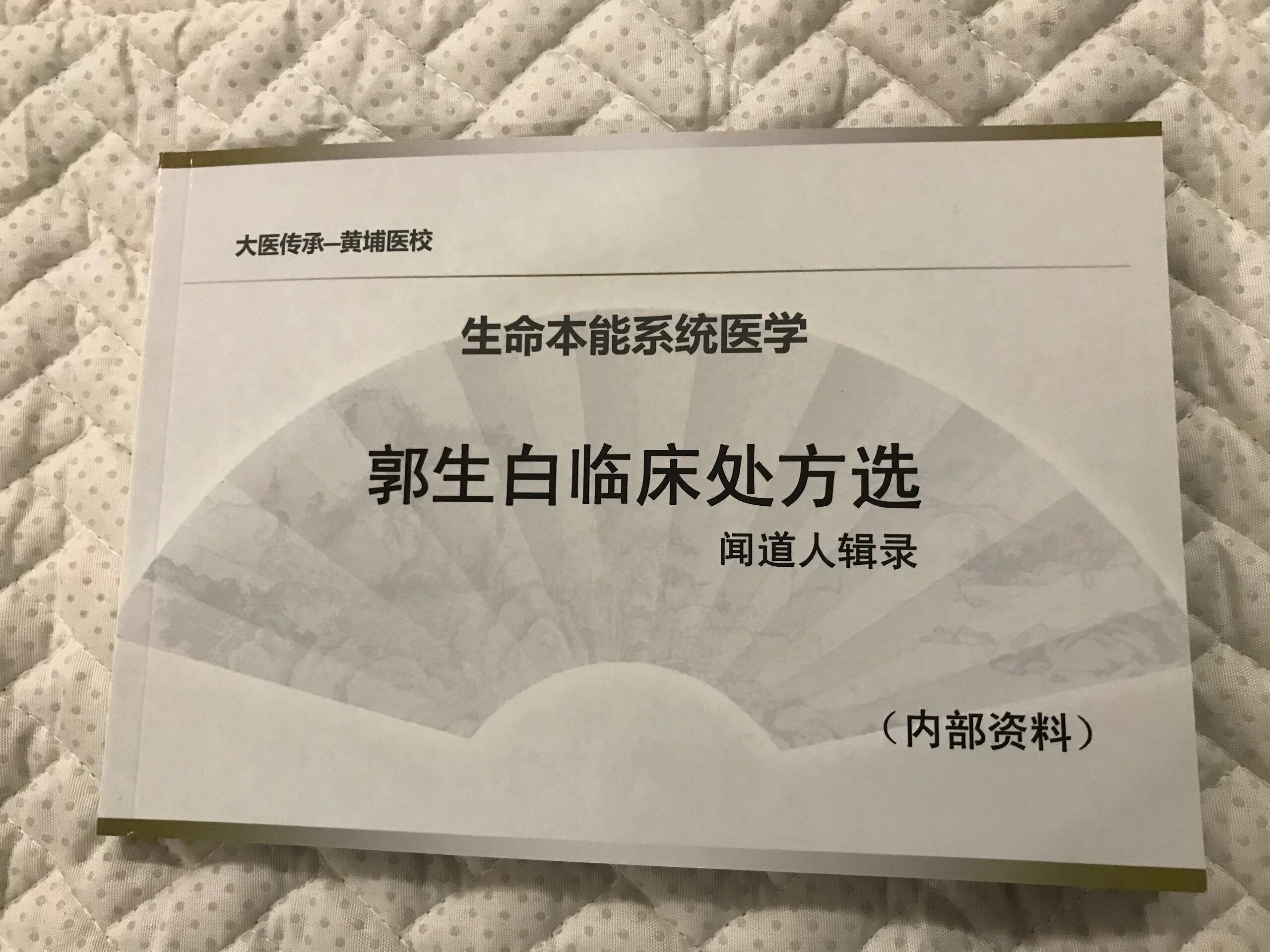 大医传承——黄埔医校生命本能系统医学 郭生白临床处方选 闻道人辑录