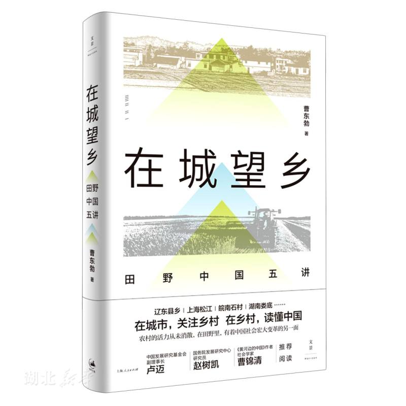 在城望乡:田野中国五讲