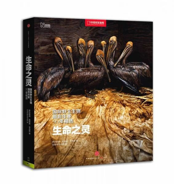 生命之灵国际野生生物摄影年赛50年精选