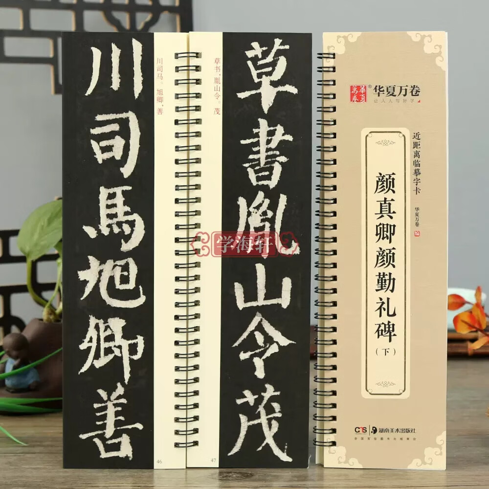 近距离临摹字卡 颜真卿颜勤礼碑 下册 成人毛笔字帖 颜体楷书勤礼碑 勤礼碑 近距离字卡字帖