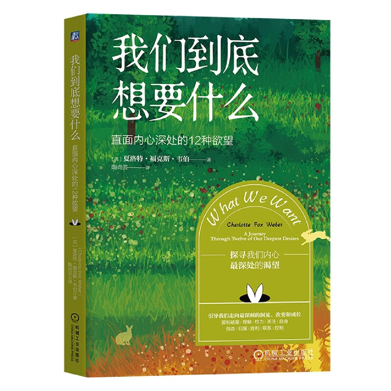 我们到底想要什么 直面内心深处的12种欲望 夏洛特福克斯韦伯 心理自助自我调节书 摆脱心理困境接