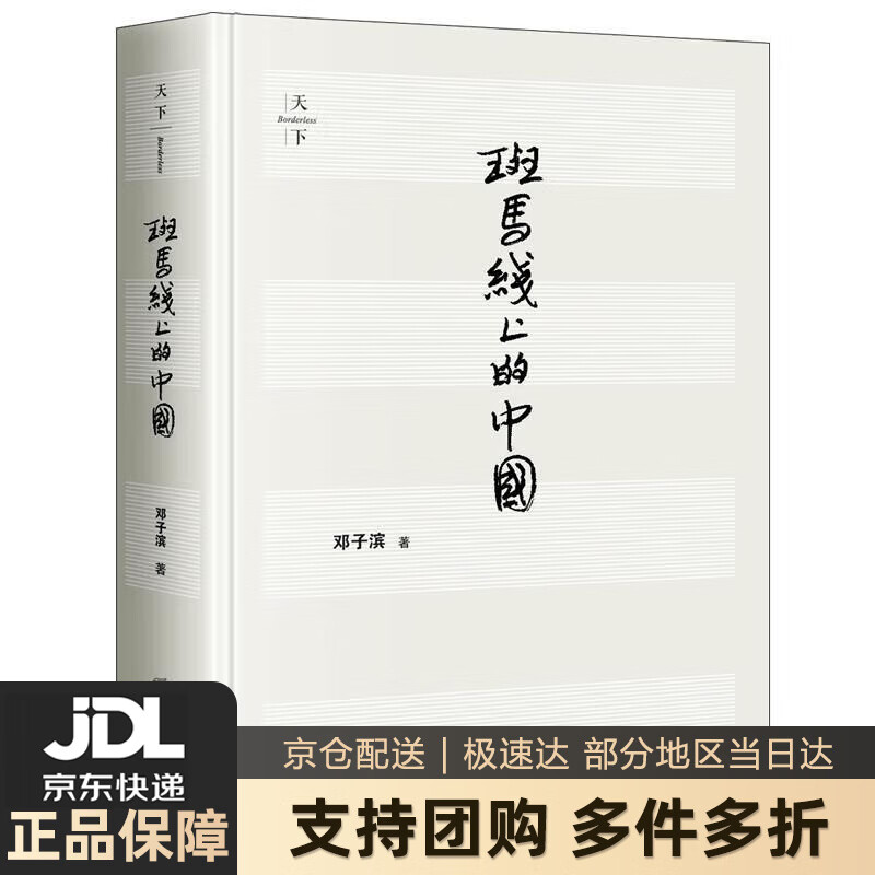 【 送货上门】天下·斑马线上的中国（第三版） 邓子滨 著 法律出版社
