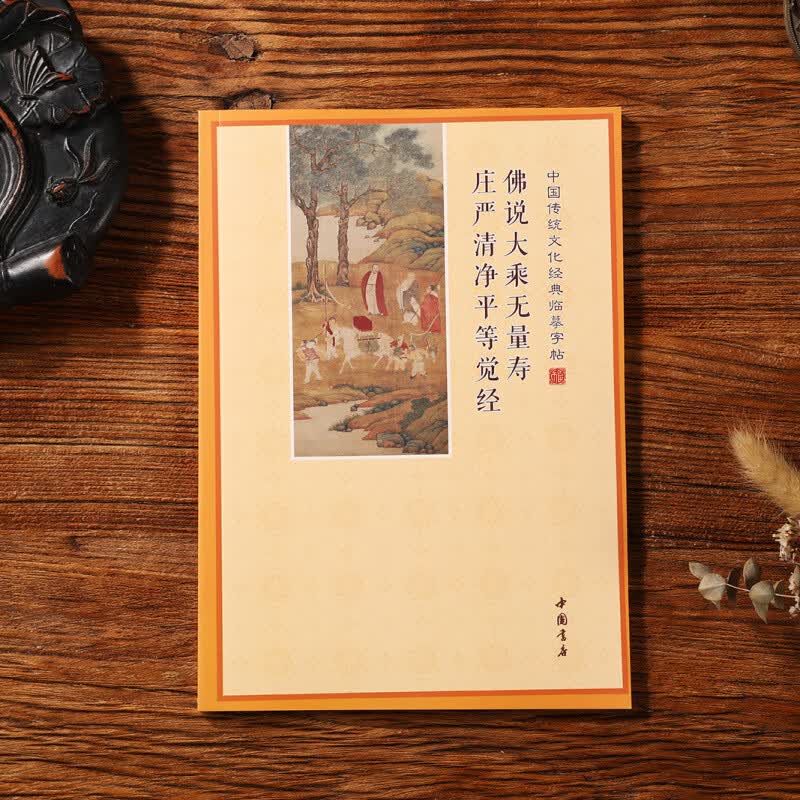 无量寿经抄经本佛说大乘无量寿庄严清净平等觉经佛经字帖临摹描写