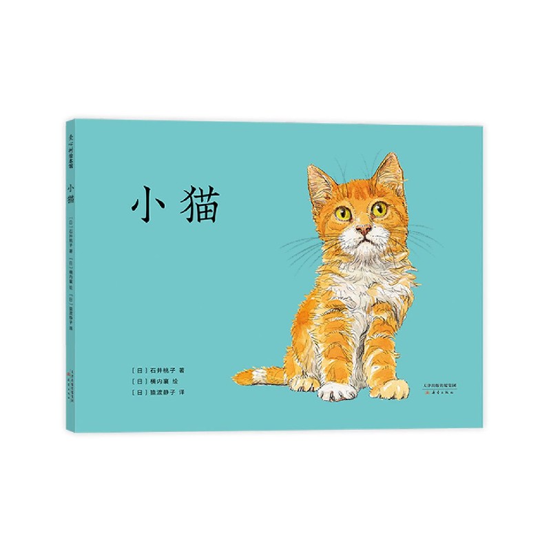 小猫(精)