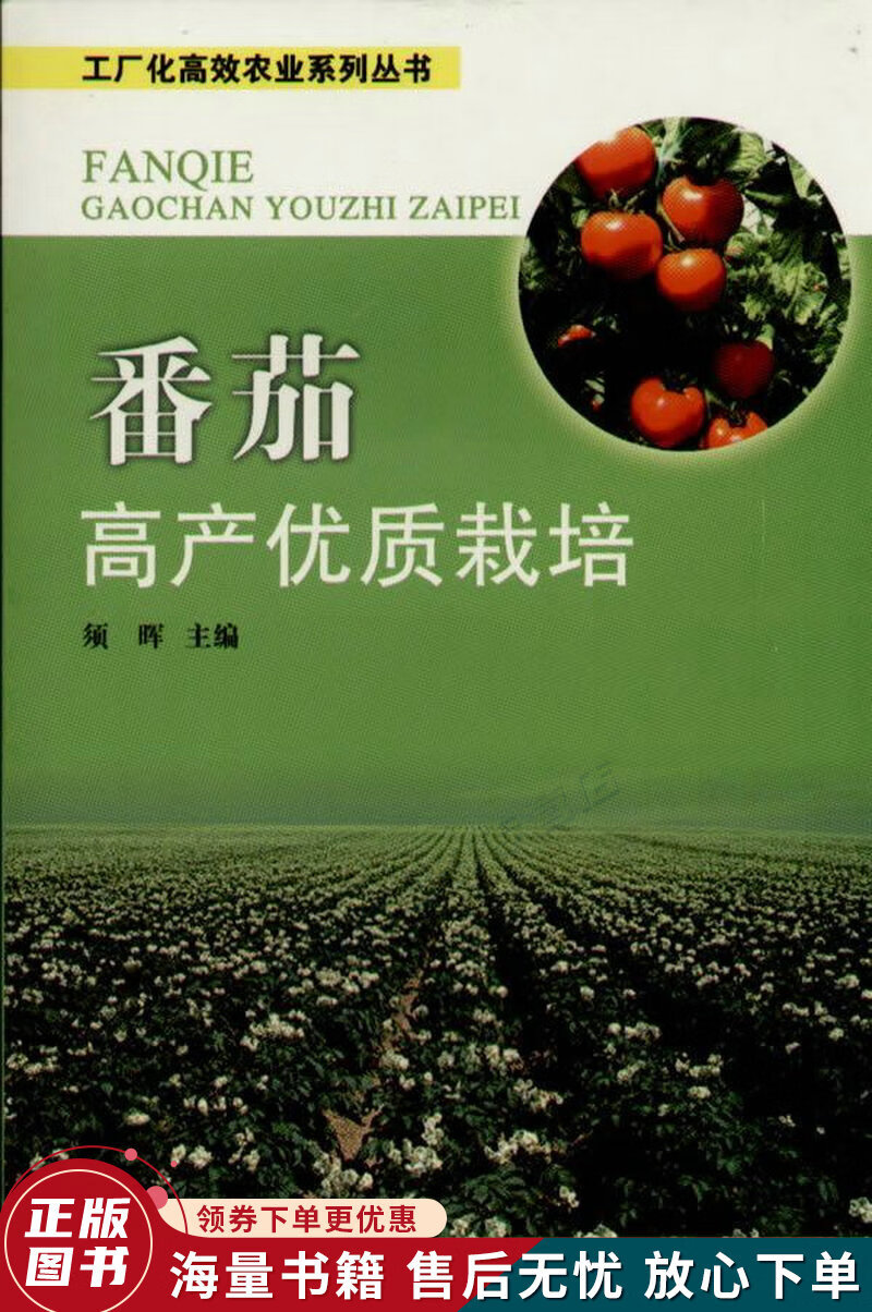 番茄高产优质栽培