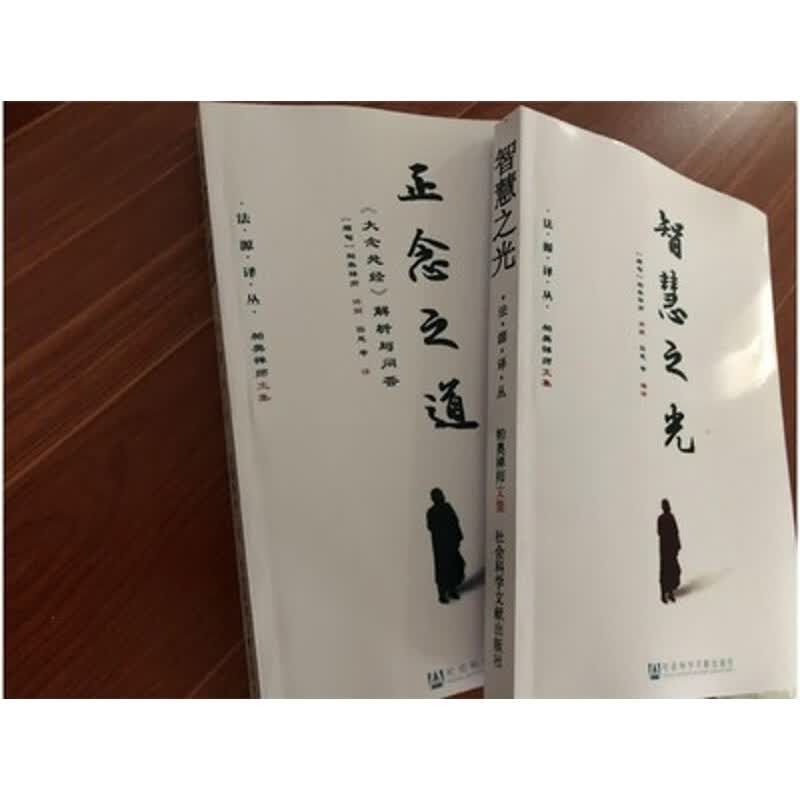 正念之道+智慧之光 共2本 (缅)帕奥禅师 讲解 园慈