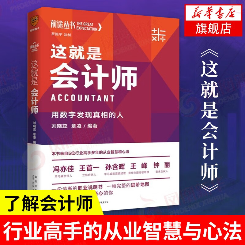 这就是会计师：用数字发现真相的人