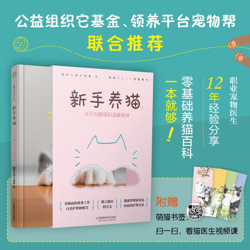 新手养猫从行为解读到温暖相伴汉竹精