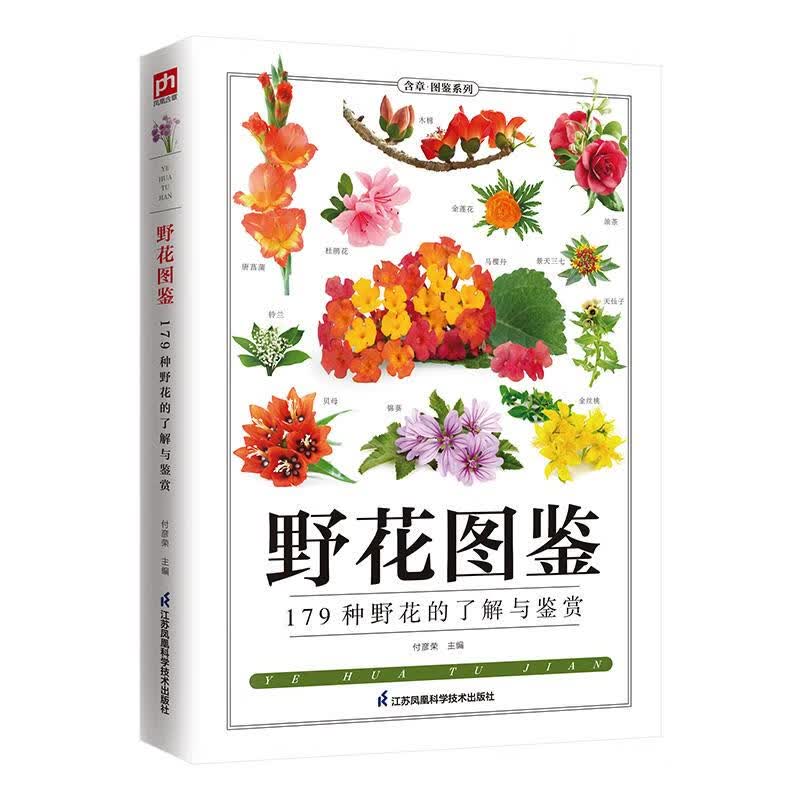 野花图鉴