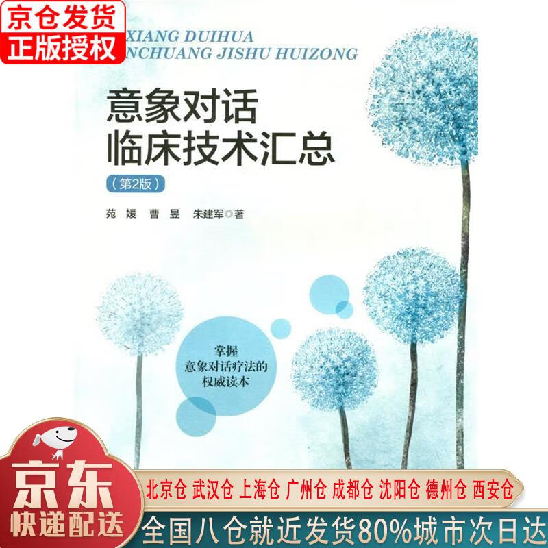 【新华全新书籍】意象对话临床技术汇总（第2版） 苑媛，曹昱，朱建军 北京师范大学出版社