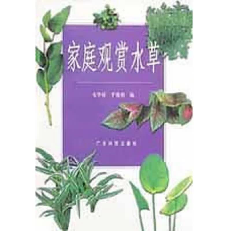 广东科技出版社安华伟家庭观赏水草9787535927743