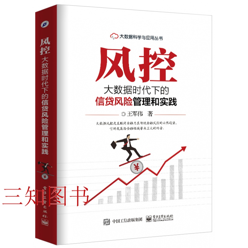 风控：大数据时代下的信贷风险管理和实践 银行信用保证保险消费金融P2P小贷公司互联网金融参考书籍