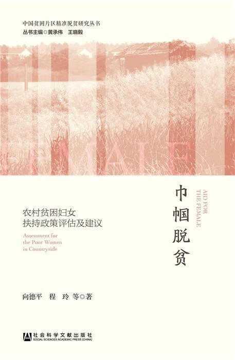 巾帼脱贫:农村贫困妇女扶持政策评估及建议 向德平,程玲著 社会科学文献出版社