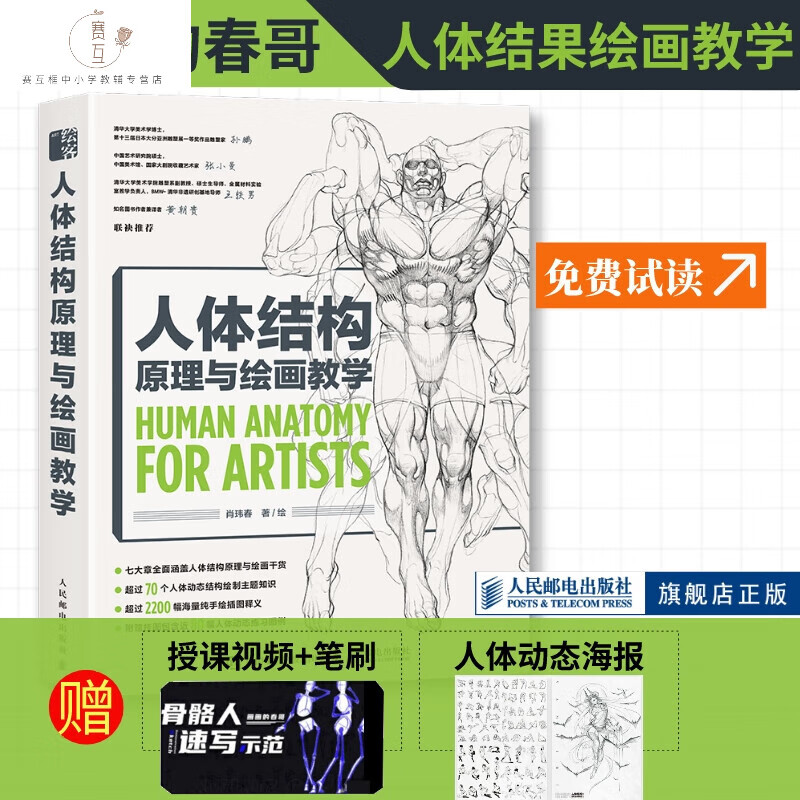 人体结构原理与 画画的春哥书人体结构手绘结构原理与书