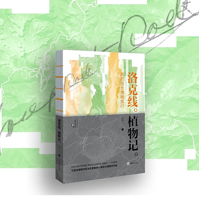 洛克线植物记：我的徒步博物旅行   好奇心·荒野寻访书系   花间 著   重庆大学
