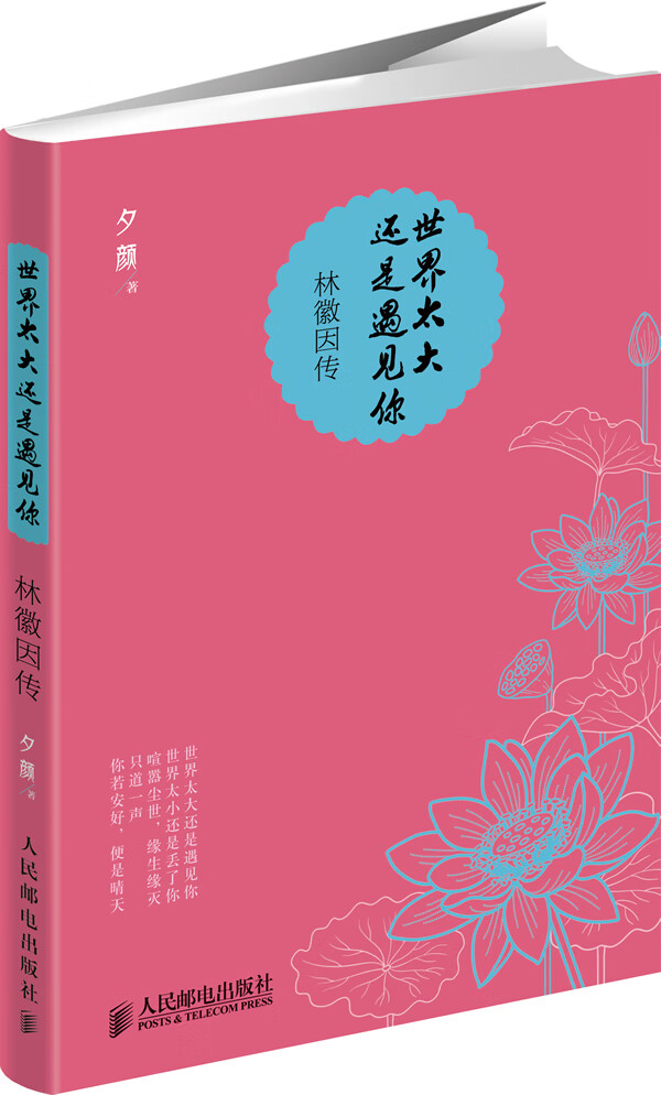太大还是遇见你-林徽因传