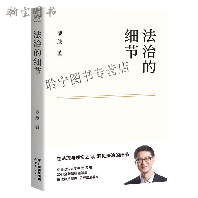 法治的细节罗翔著2021年全新法律随笔集解读热点政法案件思辨法制要义 辨法制要义
